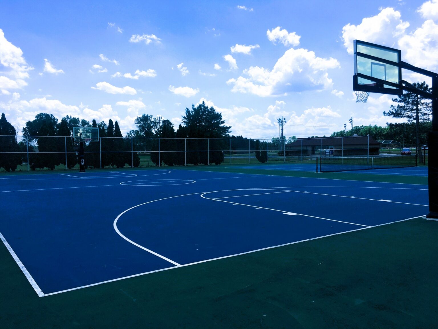 WWC - Honda Wellness