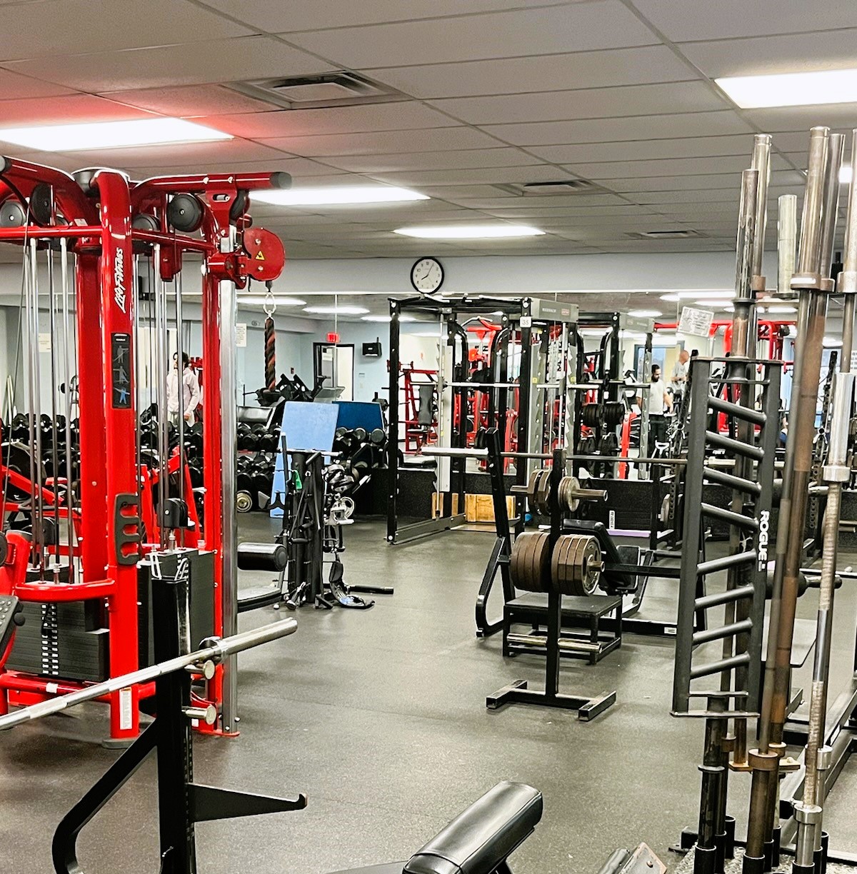 WWC - Honda Wellness